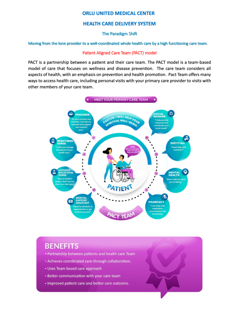 Health Care Delivery System - Orlu United Medical Centre